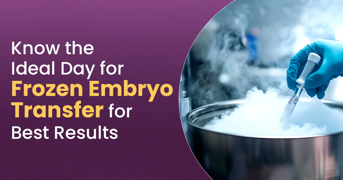 Which Day of the Cycle is Ideal for Frozen Embryo Transfer?